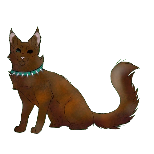 La Vie de Rosée du Matin/Flamme | Wiki Vos histoires de LGDC | Fandom