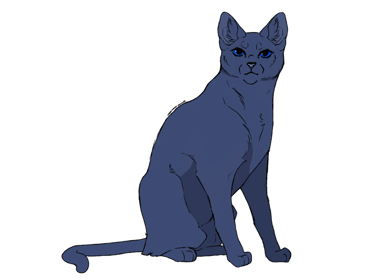 Le Destin de la Tribu/Étoile de Lune | Wiki Vos histoires de LGDC | Fandom