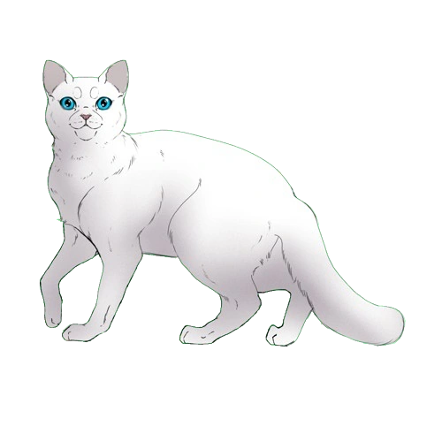 Le Crépuscule Éternel/Aile Blanche | Wiki Vos histoires de LGDC | Fandom