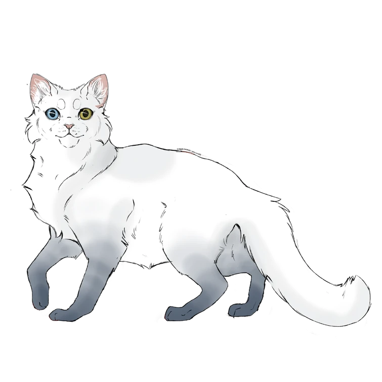 Au Fil De L'Eau/Reflet Bleuté | Wiki Vos histoires de LGDC | Fandom