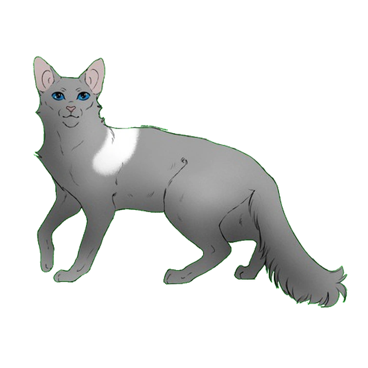 Le règne d’Étoile Sombre/Ciel Blanc | Wiki Vos histoires de LGDC | Fandom