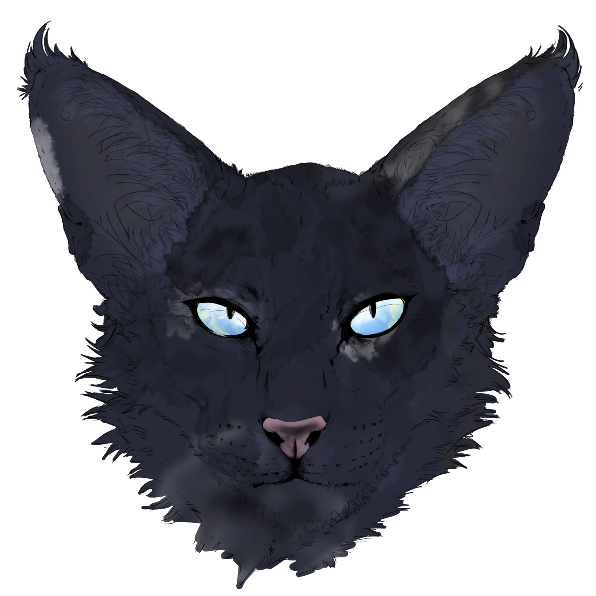 Chroniques des Ombres/Noctigone | Wiki Vos histoires de LGDC | Fandom