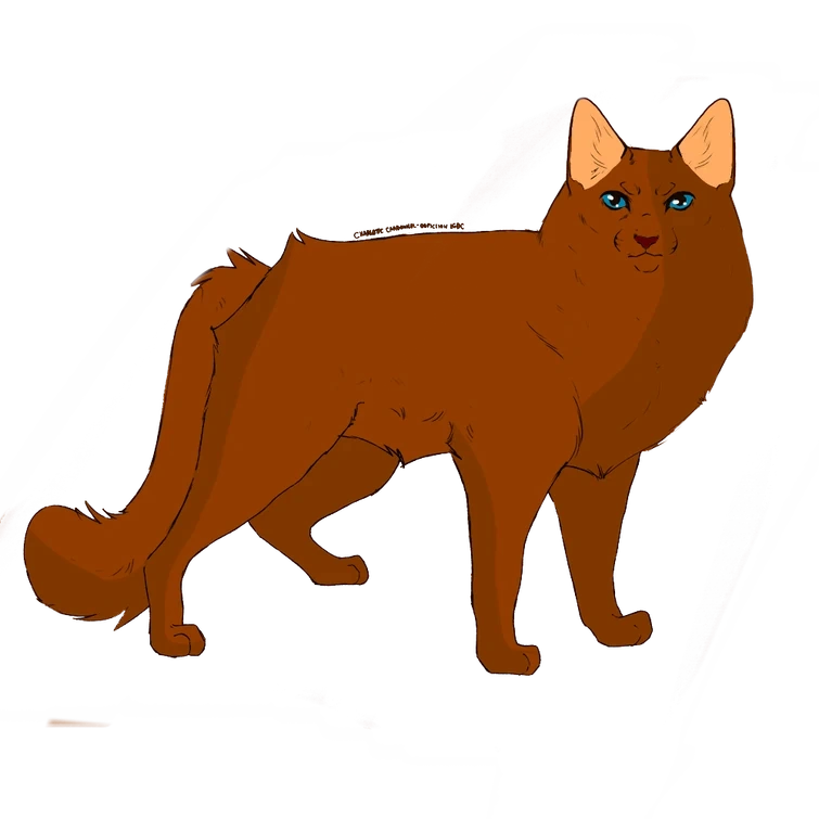 Le Crépuscule Éternel/Aile de Pluie | Wiki Vos histoires de LGDC | Fandom