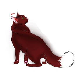 La Prophétie d'Éclair Flamboyant/Griffe Molle | Wiki Vos histoires de ...