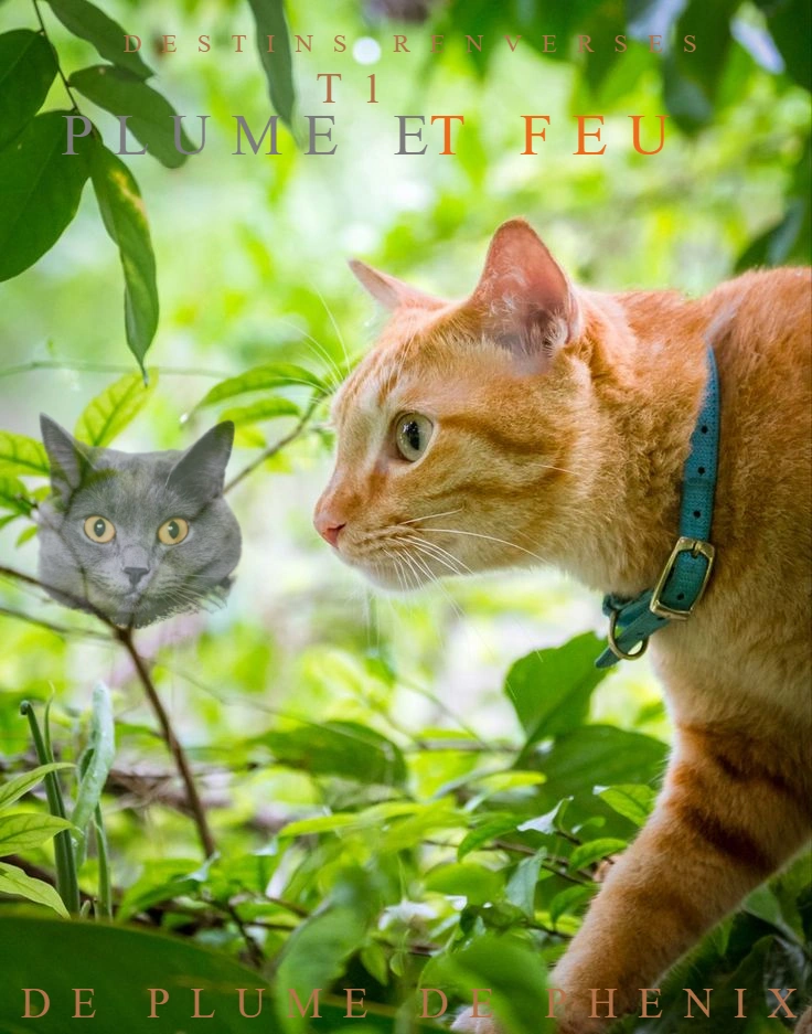 Plume et Feu | Wiki Vos histoires de LGDC | Fandom