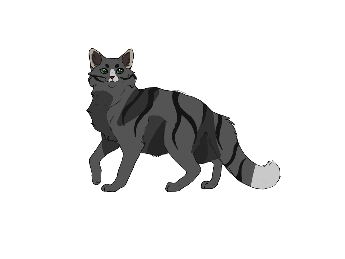 La prophétie des chats rêveurs/Moustache de Champignon | Wiki Vos ...