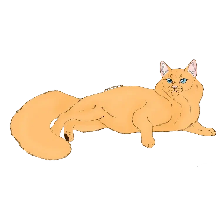 Le Crépuscule Éternel/Cœur Roux | Wiki Vos histoires de LGDC | Fandom