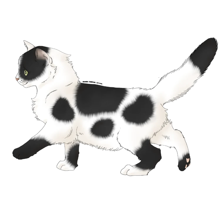 Le destin de Fleur de Sureau / Petit lichen | Wiki Vos histoires de ...