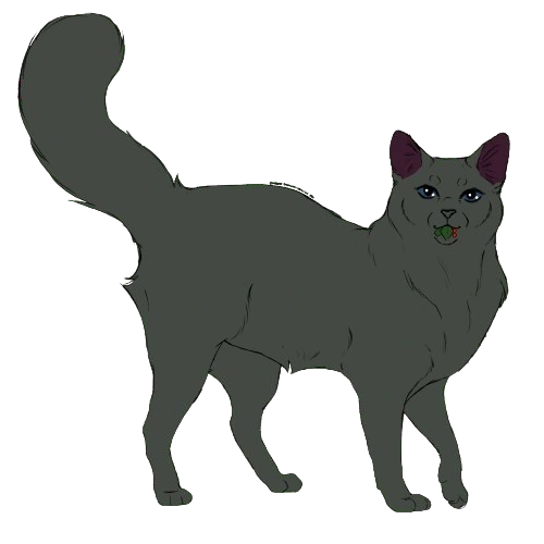 L'ère des nouveaux Clans/Museau Cendré | Wiki Vos histoires de LGDC ...