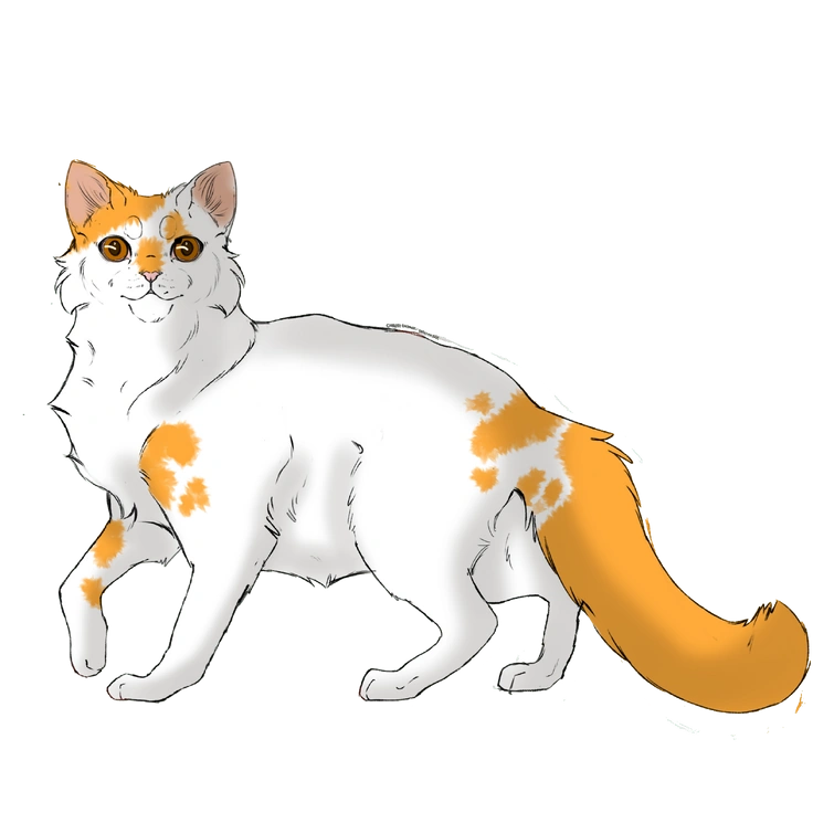 Le Temps des Secrets/Rosée du Matin | Wiki Vos histoires de LGDC | Fandom