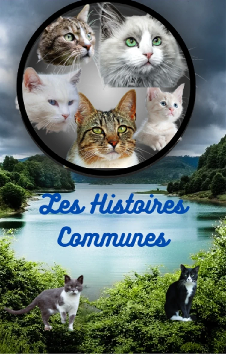 Les Histoires Communes | Wiki Vos histoires de LGDC | Fandom