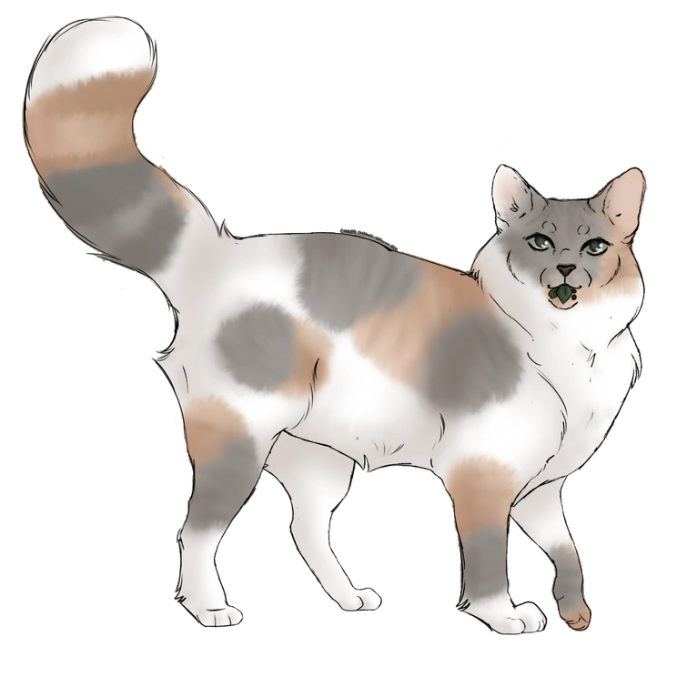 Le Temps des Secrets/Aile de Pinson | Wiki Vos histoires de LGDC | Fandom