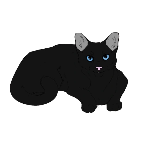 Émotion/Ciel Noir | Wiki Vos histoires de LGDC | Fandom