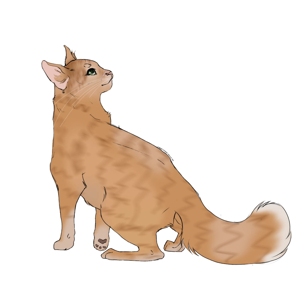 Les griffes de la paix/Force du Lynx | Wiki Vos histoires de LGDC | Fandom
