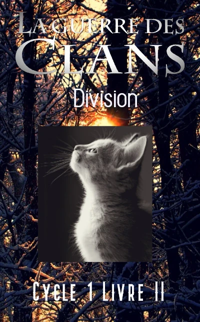 Division | Wiki Vos histoires de LGDC | Fandom