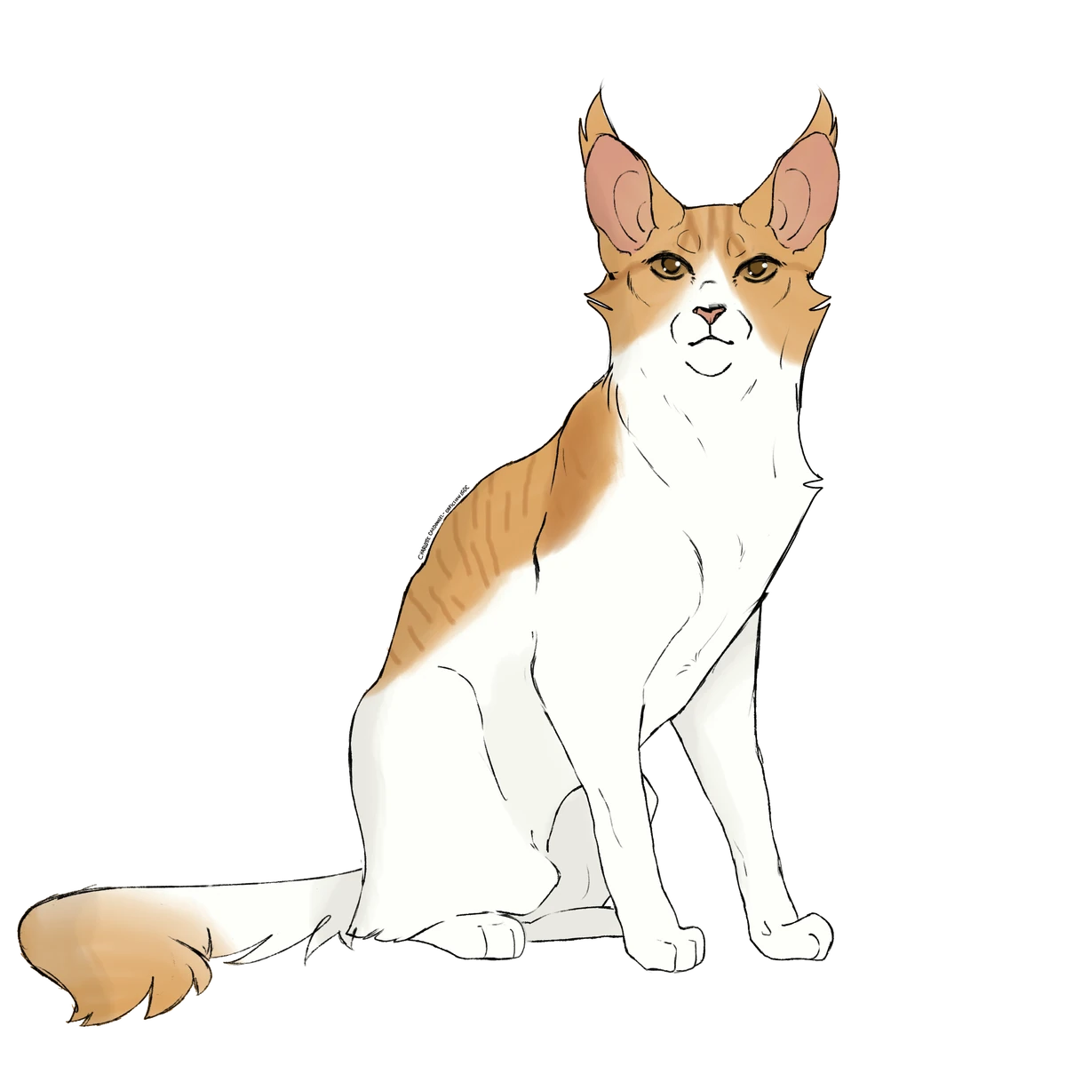 The Wisper of the stars/Étoile de Bouleau | Wiki Vos histoires de LGDC ...