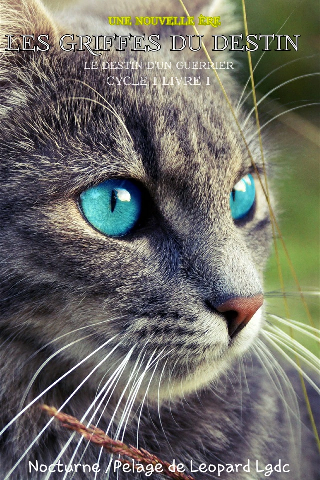 Le destin d'un Guerrier | Wiki Vos histoires de LGDC | Fandom