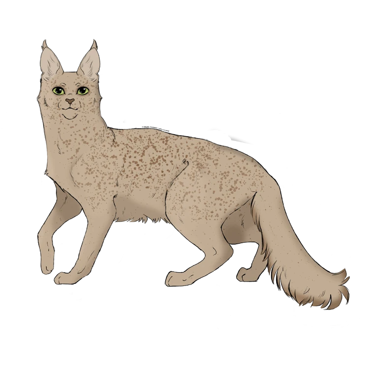 Les voies du destin/Griffe de Moineau | Wiki Vos histoires de LGDC | Fandom