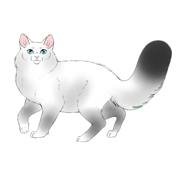 Le chemin de Cœur Solitaire/Plume de Neige | Wiki Vos histoires de LGDC ...