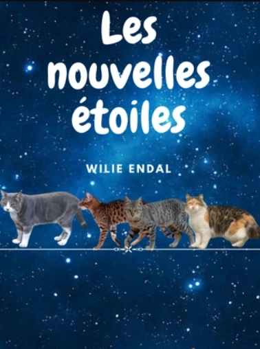 Les Nouvelles Etoiles | Wiki Vos histoires de LGDC | Fandom