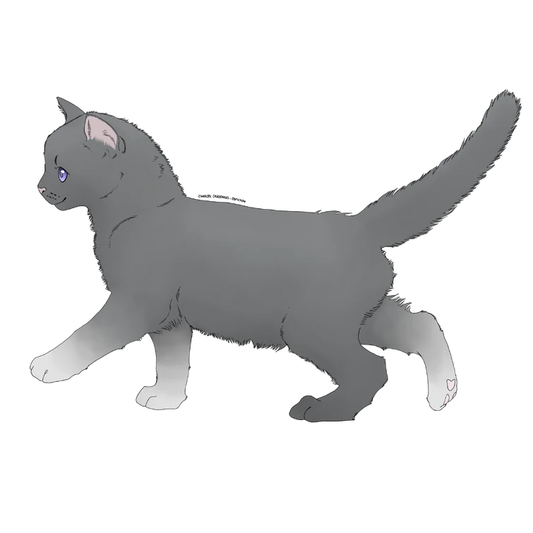 La Quête Perdue/Petite Baie | Wiki Vos histoires de LGDC | Fandom