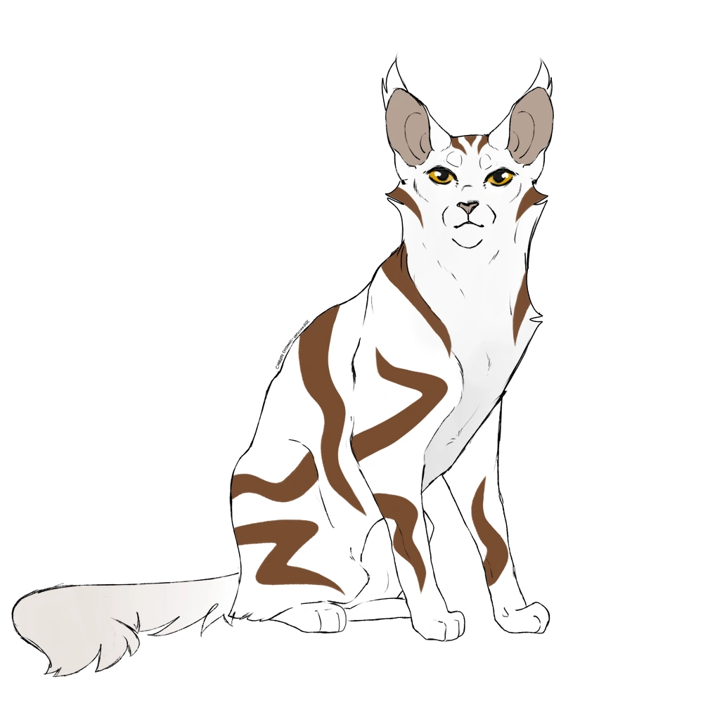 La surprise de Cœur de Houx/Étoile de Ronces | Wiki Vos histoires de ...