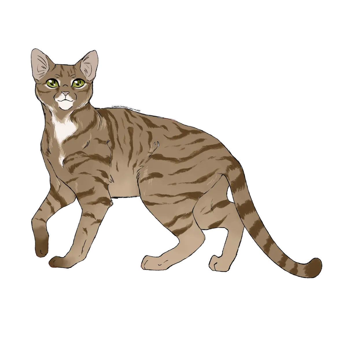 Quatre Griffes/Aile de Chouette | Wiki Vos histoires de LGDC | Fandom