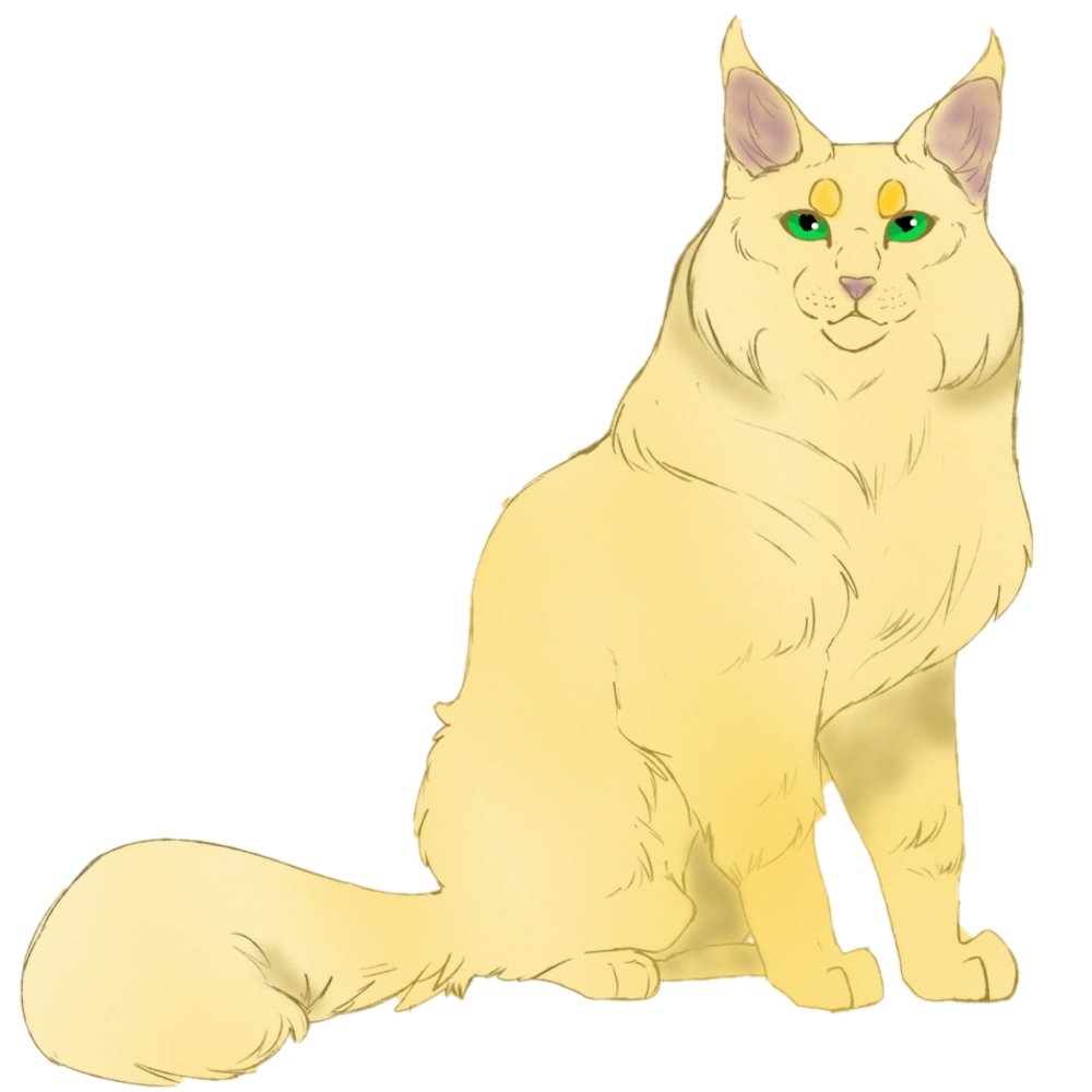 Le destin de Cœur des Vagues/Etoile du Jour | Wiki Vos histoires de ...