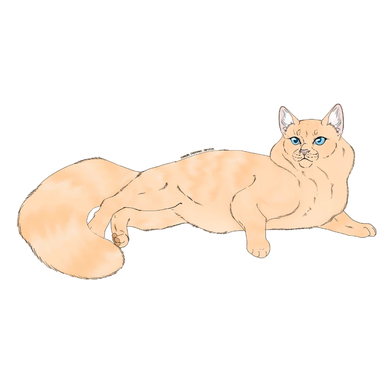 Au Fil De L'Eau/Rayon Lumineux | Wiki Vos histoires de LGDC | Fandom