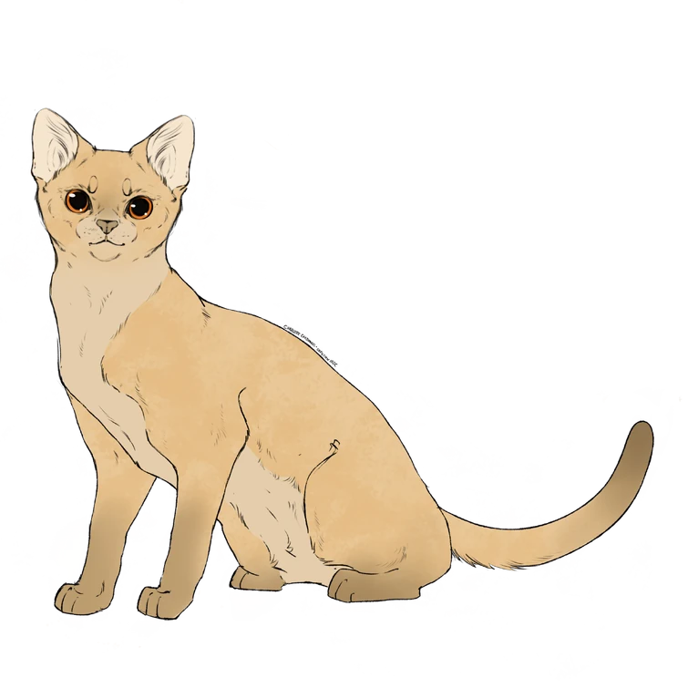 Quatre Griffes/Plume de Hibou | Wiki Vos histoires de LGDC | Fandom