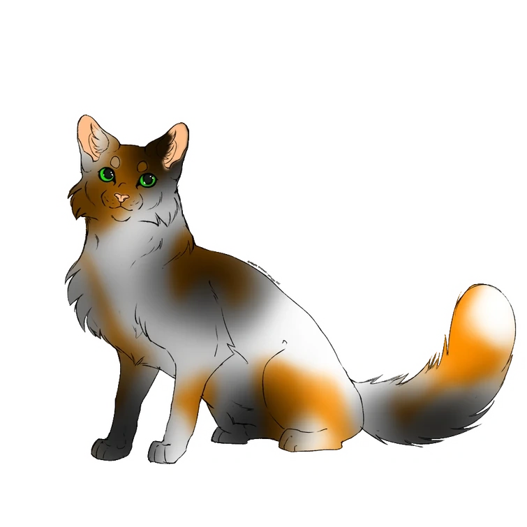 Au-delà des frontières des clans/Pluie Ensoleillée | Wiki Vos histoires ...