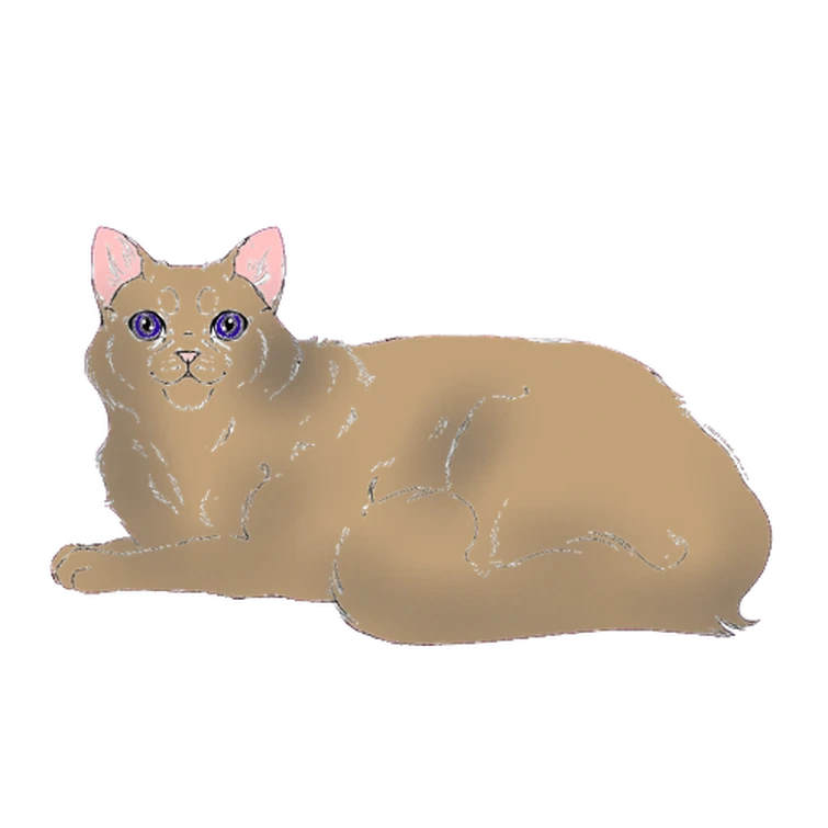 Le chemin de Cœur Solitaire/Pelage de Terre | Wiki Vos histoires de ...