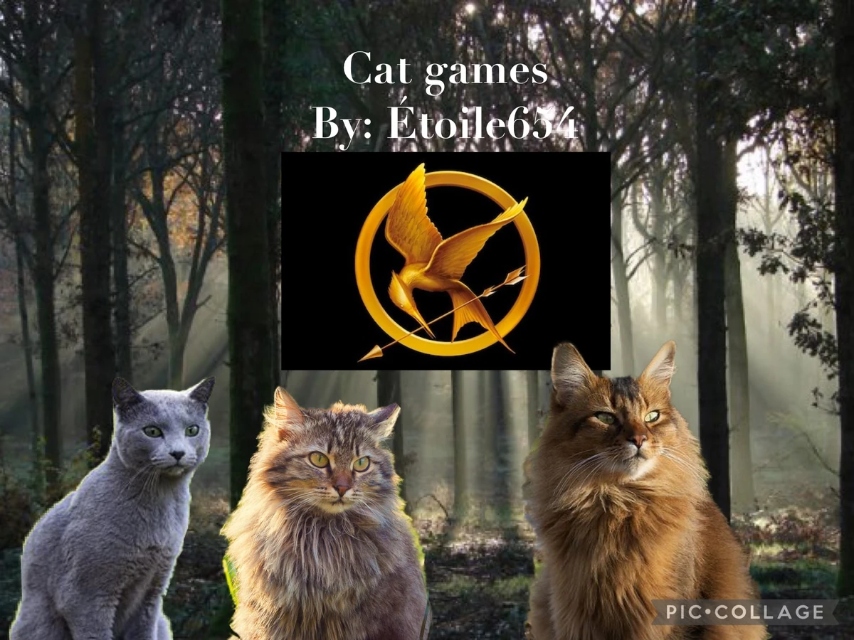Cat games | Wiki Vos histoires de LGDC | Fandom