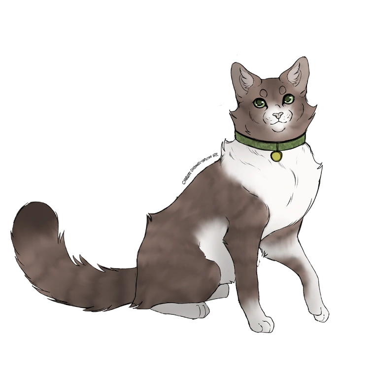 Derrière le masque/Hazel | Wiki Vos histoires de LGDC | Fandom