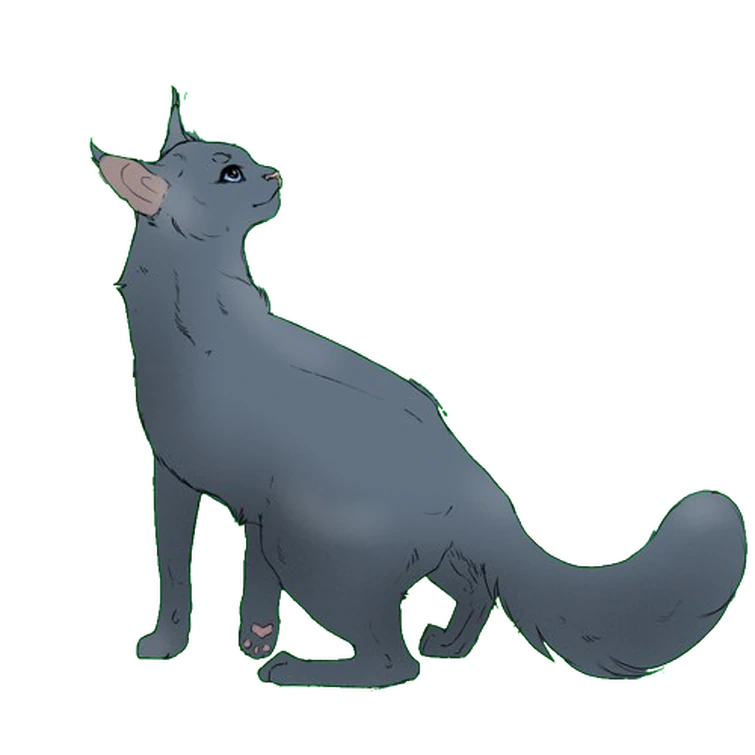 La destinée d'Étoile Brillante/Brise Vive | Wiki Vos histoires de LGDC ...