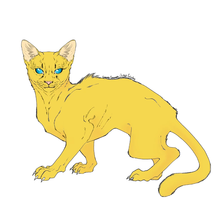 Émotion/Ombre d'Or | Wiki Vos histoires de LGDC | Fandom