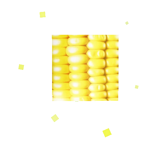 Corn Cube | Voxel Venture Wiki | Fandom