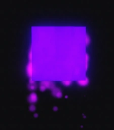 Regalin | Voxel Venture Wiki | Fandom