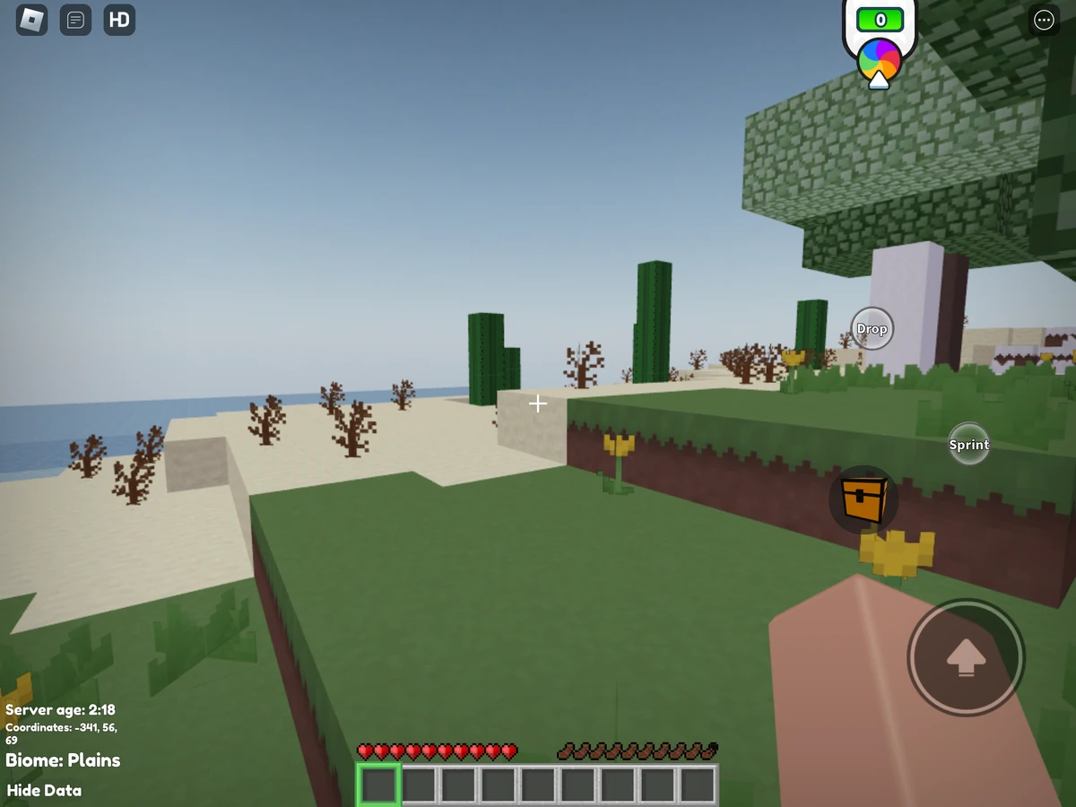Voxels: The New Version | Voxels Wiki | Fandom