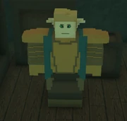 Knight Guild | VoxlBlade RPG Wiki | Fandom