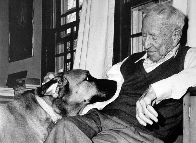 ALEXANDER LOWEN | Wiki Vozymovimiento | Fandom