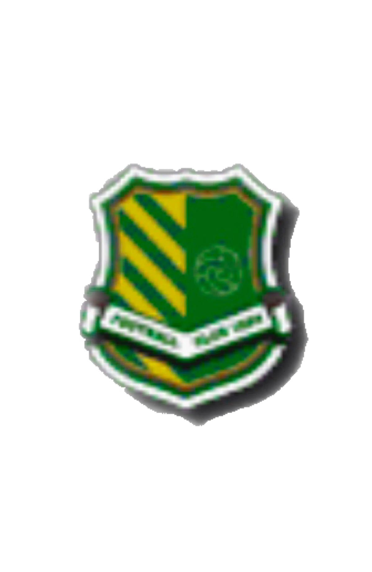 Sporting Rovers AC | VPESA Wiki | Fandom