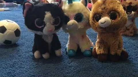 Beanie Boos: Kenga! | VR1101 A Wiki | Fandom