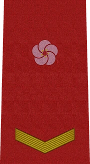 Russo Japanese Plurinational Federation | VRChat Legends Wiki | Fandom