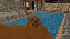 Panda | VRChat Legends Wiki | Fandom