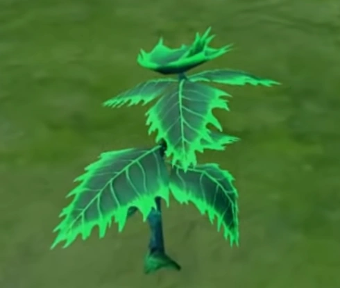 Herbalism and Plant Life (Archive) | VRChat Legends Wiki | Fandom