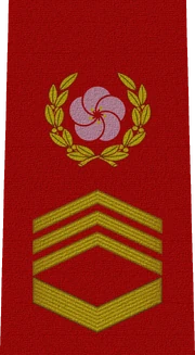 Russo Japanese Plurinational Federation | VRChat Legends Wiki | Fandom