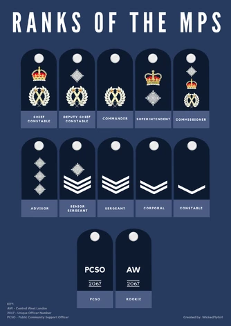 Metropolitan Police Service VRC | VRChat Legends Wiki | Fandom