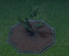 Birch Sapling | VRising Wiki | Fandom