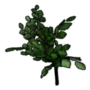 Apple Tree Sapling | VRising Wiki | Fandom